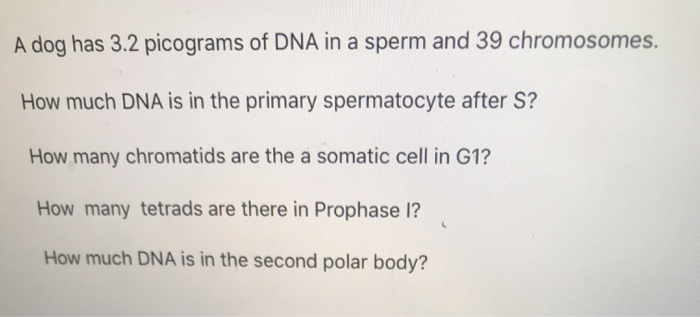 Solved A dog has 3.2 picograms of DNA in a sperm and 39 | Chegg.com