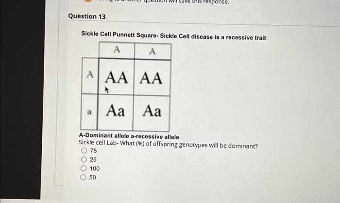 Solved Sickle Cell Punnett Square- Sickle Cell disease is a | Chegg.com