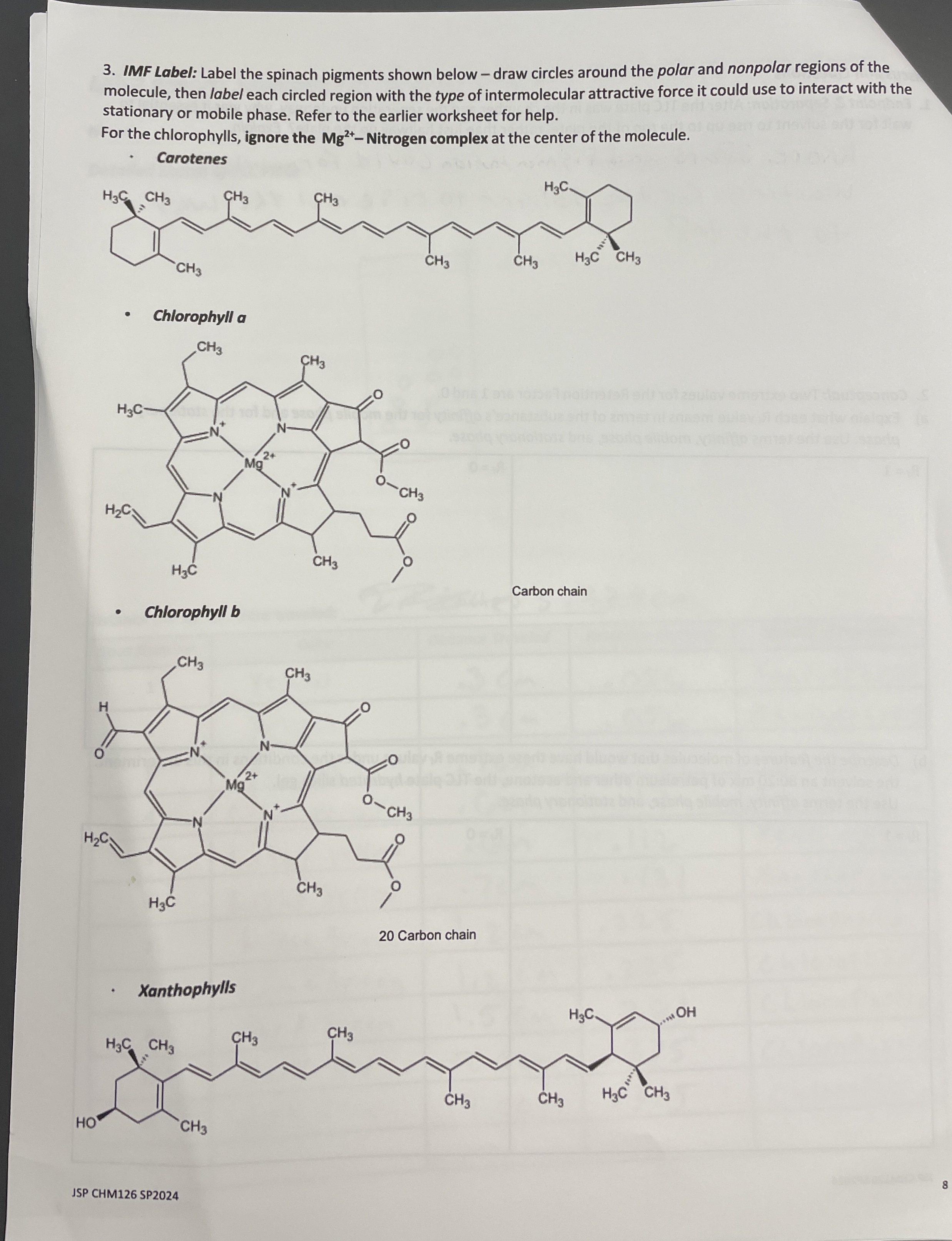 Solved IMF Label: Label the spinach pigments shown | Chegg.com