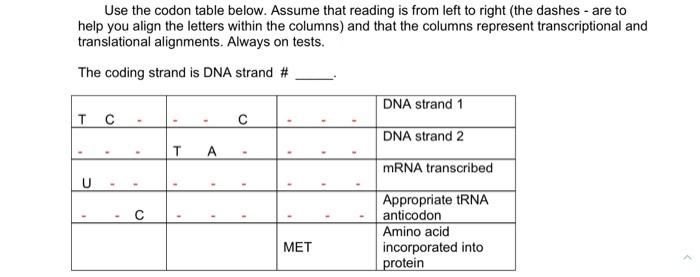 Solved Use the codon table below. Assume that reading is | Chegg.com