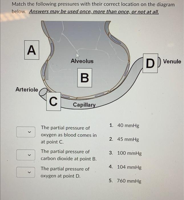 Solved Match the following pressures with their correct | Chegg.com