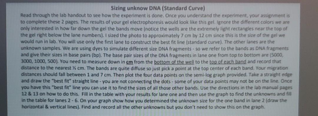 Sizing unknow DNA (Standard Curve) Read through the | Chegg.com