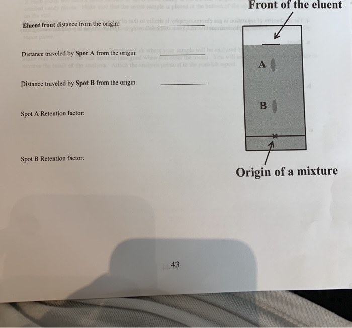 Solved Front of the eluent Eluent front distance from the | Chegg.com