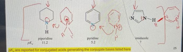 Solved Explain the differences of pKa in Piperidine, | Chegg.com