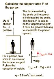 Solved Calculate the support force F on the person: The | Chegg.com
