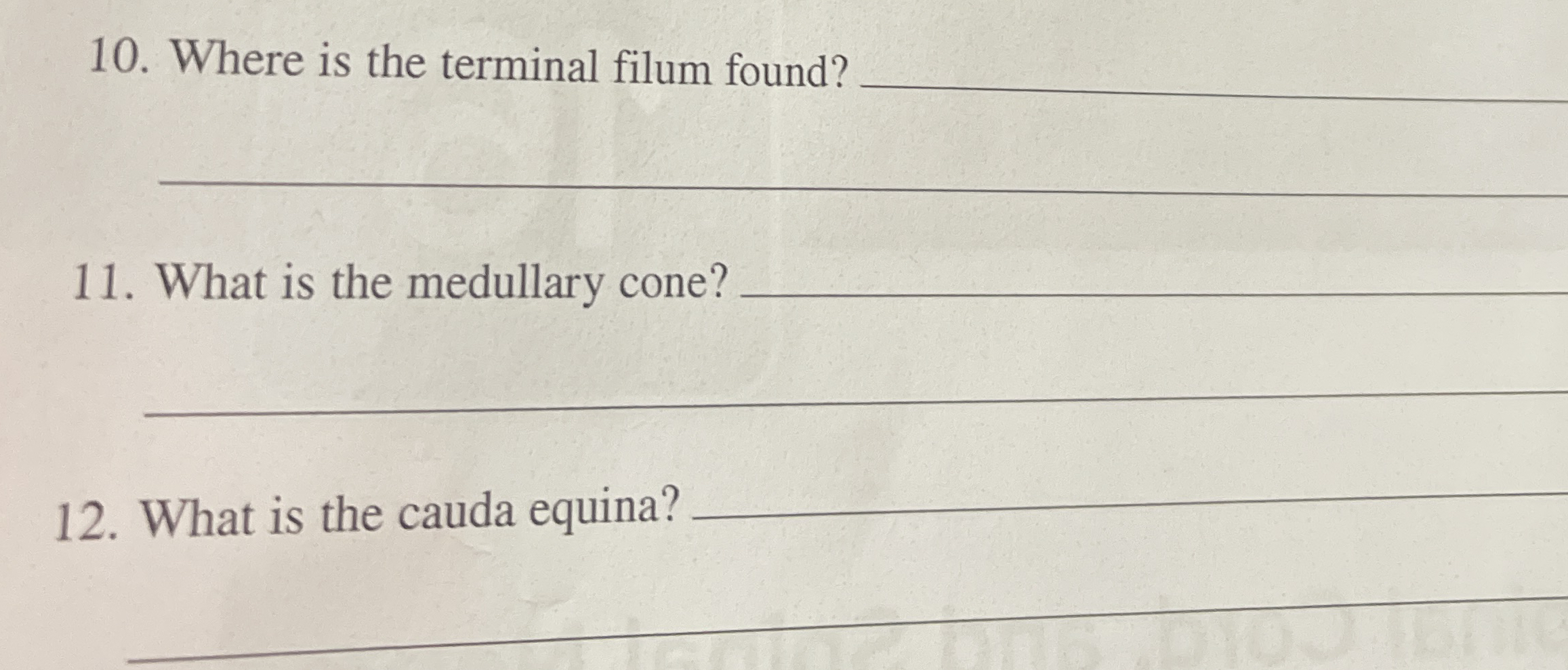 Where is the terminal filum found?q,What is the | Chegg.com