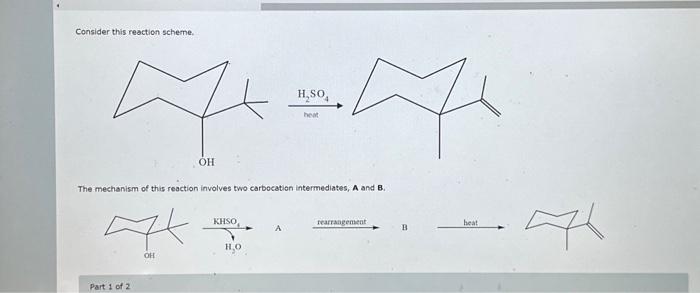 Solved Consider this reaction scheme. The mechanism of this | Chegg.com