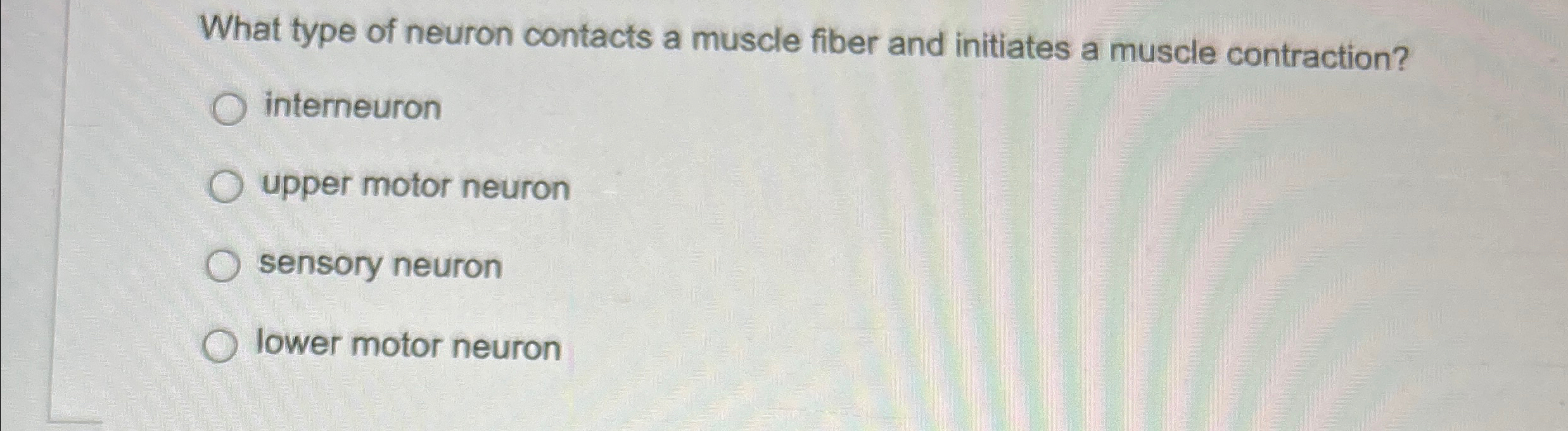 Solved What type of neuron contacts a muscle fiber and | Chegg.com