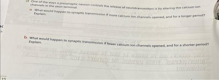 Solved One Of The Ways A Presynaptic Neuron Controls The