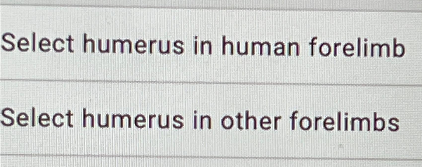 Solved Select humerus in human forelimbSelect humerus in | Chegg.com