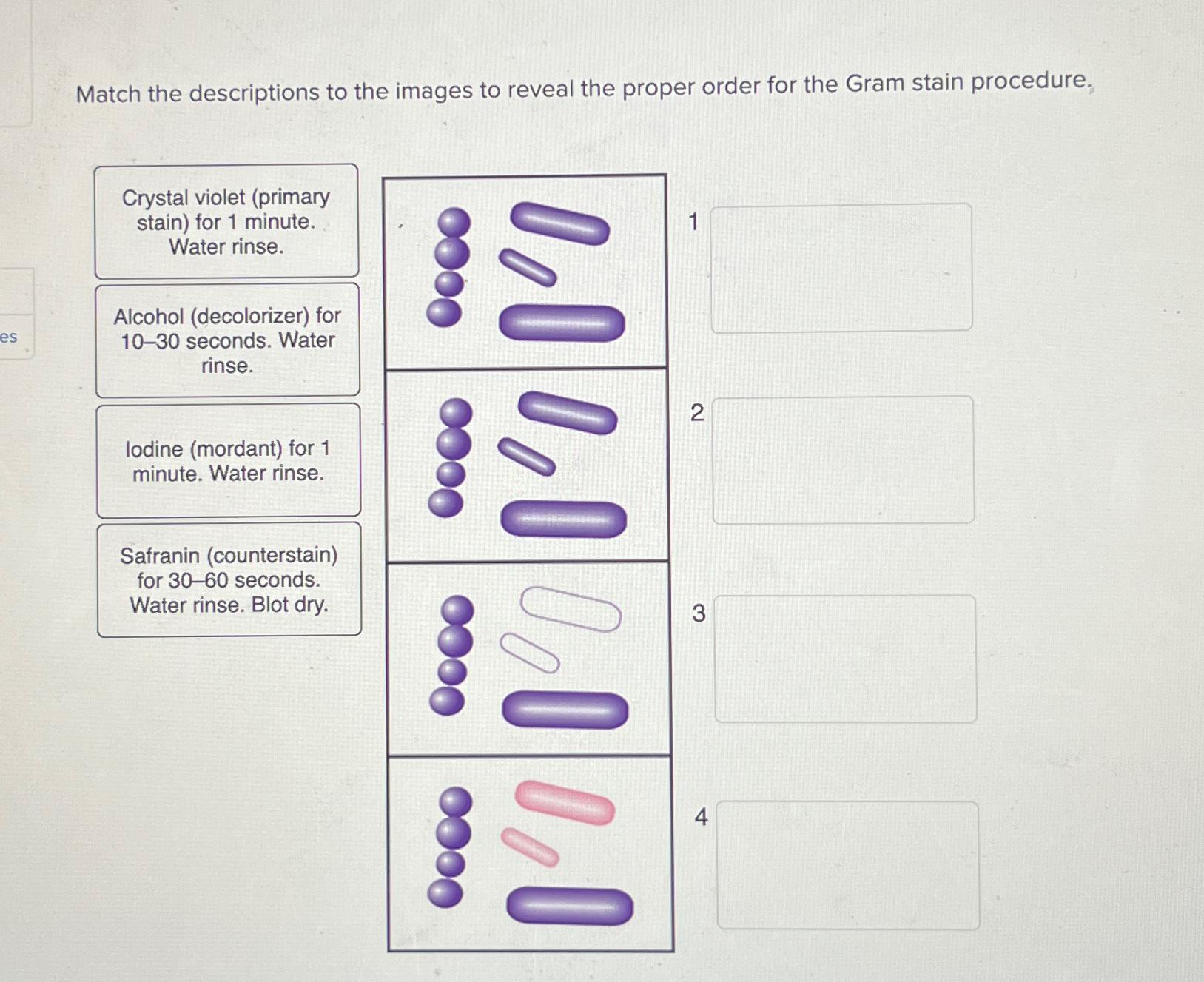 Solved Match the descriptions to the images to reveal the | Chegg.com