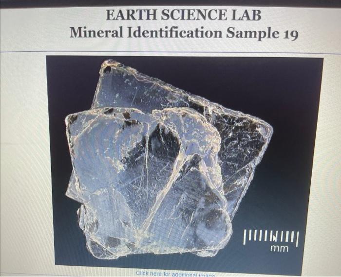 Solved EARTH SCIENCE LAB Mineral Identification Sample 19 | Chegg.com