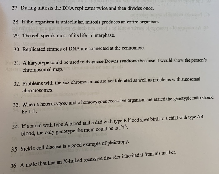 Solved 27. During mitosis the DNA replicates twice and then | Chegg.com
