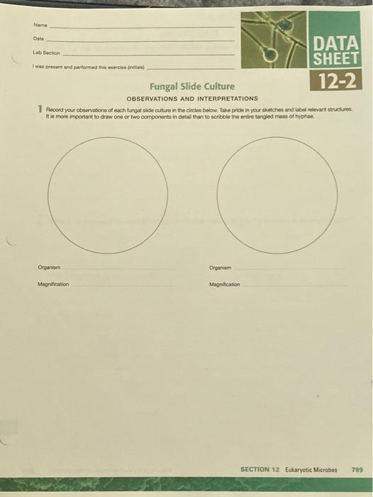 Solved Name Date Lab Section DATA SHEET 12-2 I was present | Chegg.com