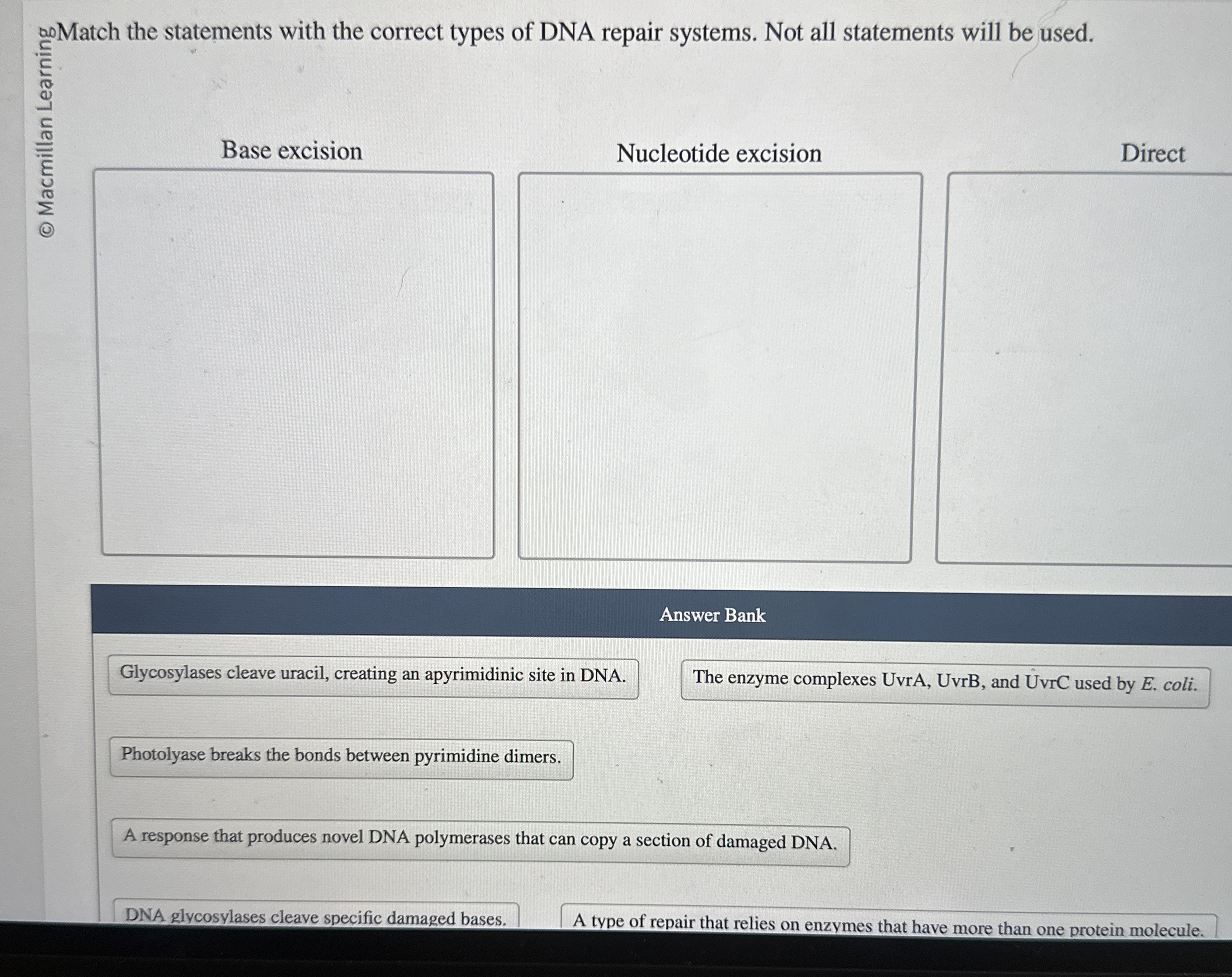 Solved Base excisionNucleotide excisionDirectAnswer | Chegg.com