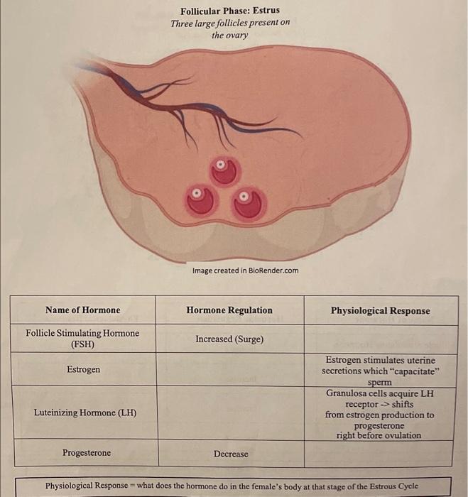 Solved Name of Hormone Follicle Stimulating Hormone (FSH) | Chegg.com