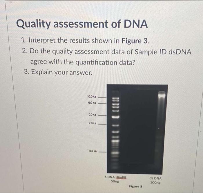 Solved Quality assessment of DNA 1. Interpret the results | Chegg.com