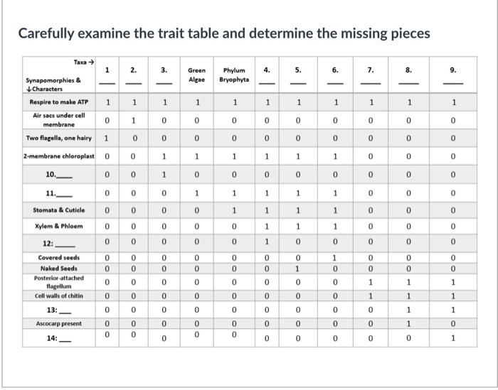 Solved Carefully examine the trait table and determine the | Chegg.com