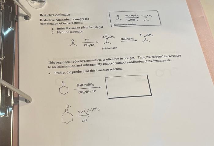 Solved Reductive Amination Reductive Amination is simply the | Chegg.com