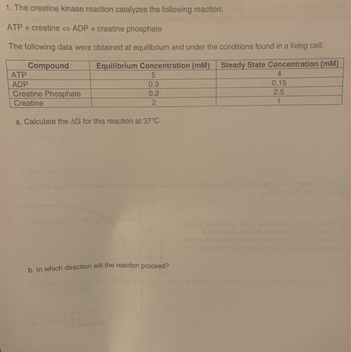 Solved 1. The creatine kinase reaction catalyzes the | Chegg.com