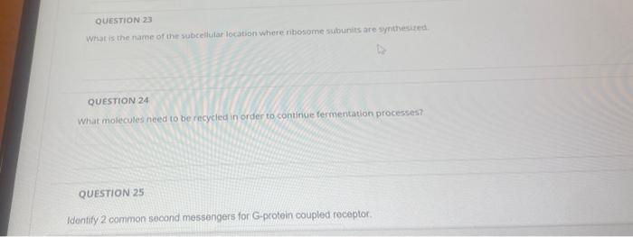 Solved QUESTION 23 Whatis the name of the subcellular | Chegg.com