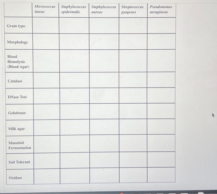 Solved Gram type Morphology Blood Hemolysis (Blood Agar) | Chegg.com