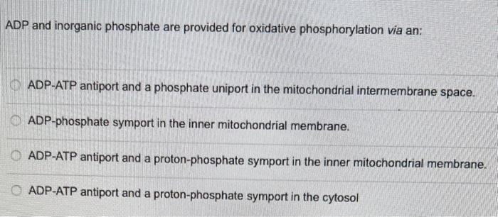 Solved ADP and inorganic phosphate are provided for | Chegg.com