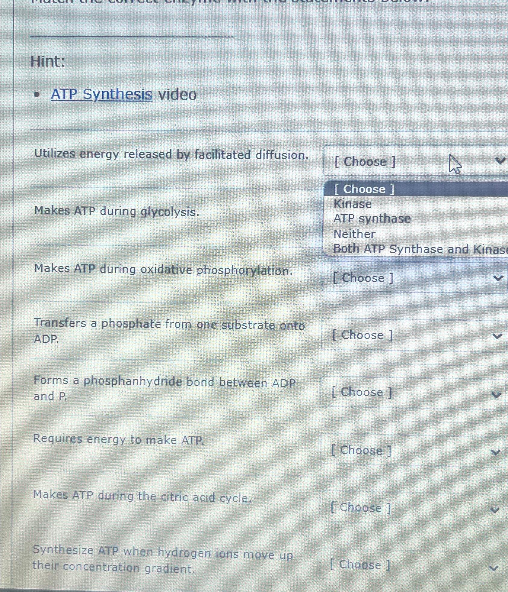 Solved Hint:ATP Synthesis videoUtilizes energy released by | Chegg.com