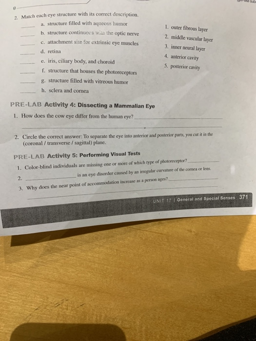 2. Match each eye structure with its correct | Chegg.com