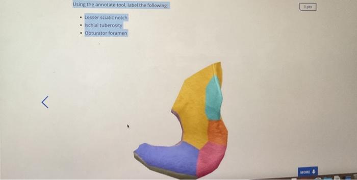 Solved Using the annotate tool, tabel the following | Chegg.com