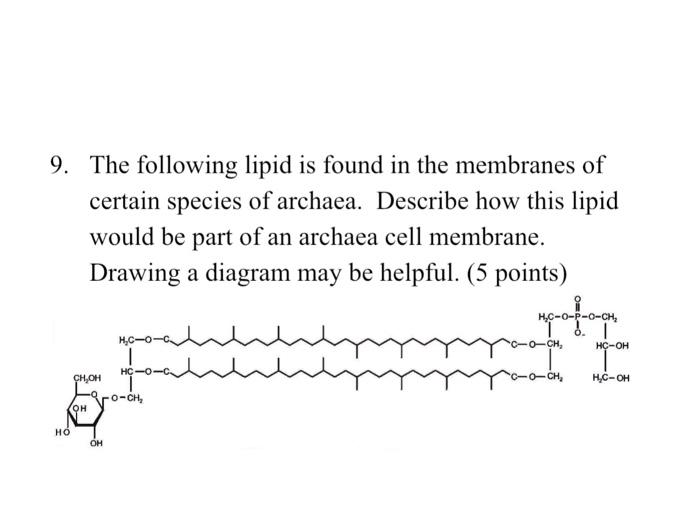 Solved 9. The following lipid is found in the membranes of | Chegg.com