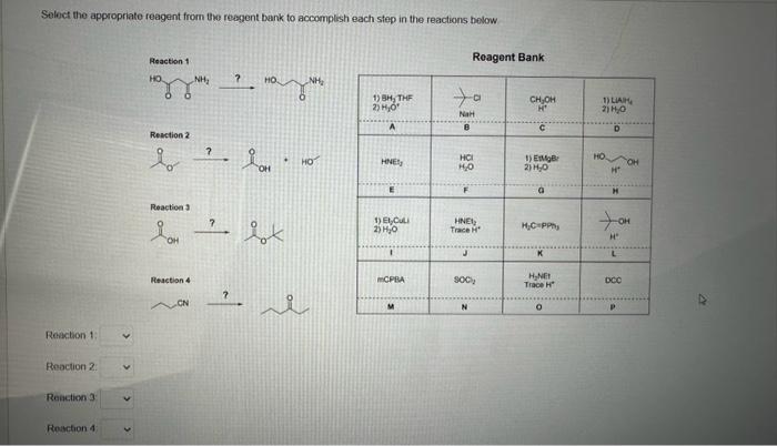 Solved Select the appropriate reagent from the reagent bank | Chegg.com