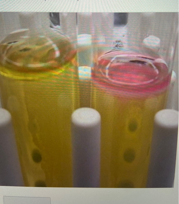 Solved 1. The pink ring seen in the tube on the right | Chegg.com