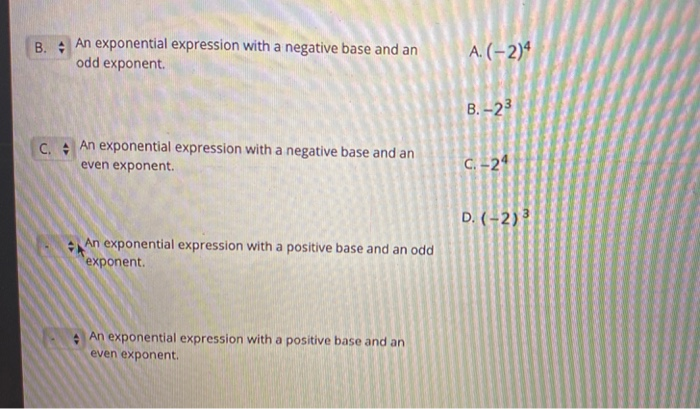 Solved B. An exponential expression with a negative base and | Chegg.com