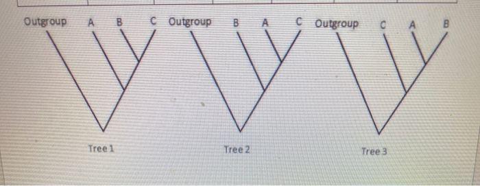 Determine the most likely phylogeny using the | Chegg.com