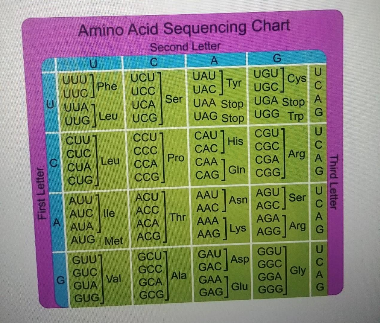 Solved A. Using the amino acid tables attached to the | Chegg.com