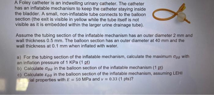 Solved A Foley catheter is an indwelling urinary catheter. | Chegg.com