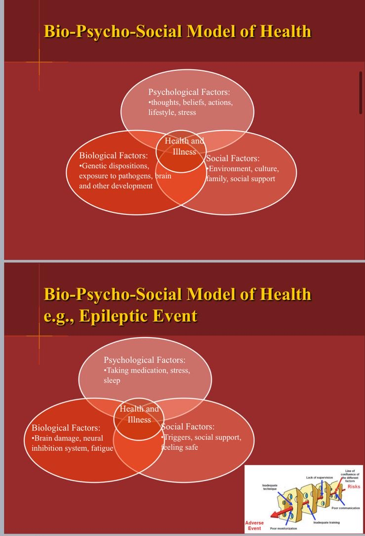 Solved Please use the PowePpoint (slide 5) ﻿from today's | Chegg.com