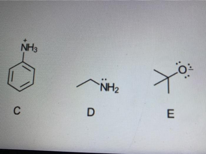 Solved QUESTION 3 The strongest base shown is: NH2 NH3 A B С | Chegg.com