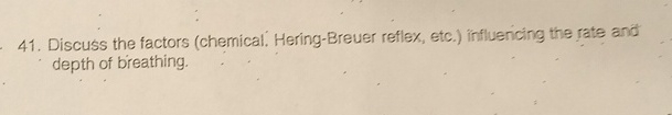 Solved dDiscuss the factors (chernical. ﻿Hering-Breuer | Chegg.com