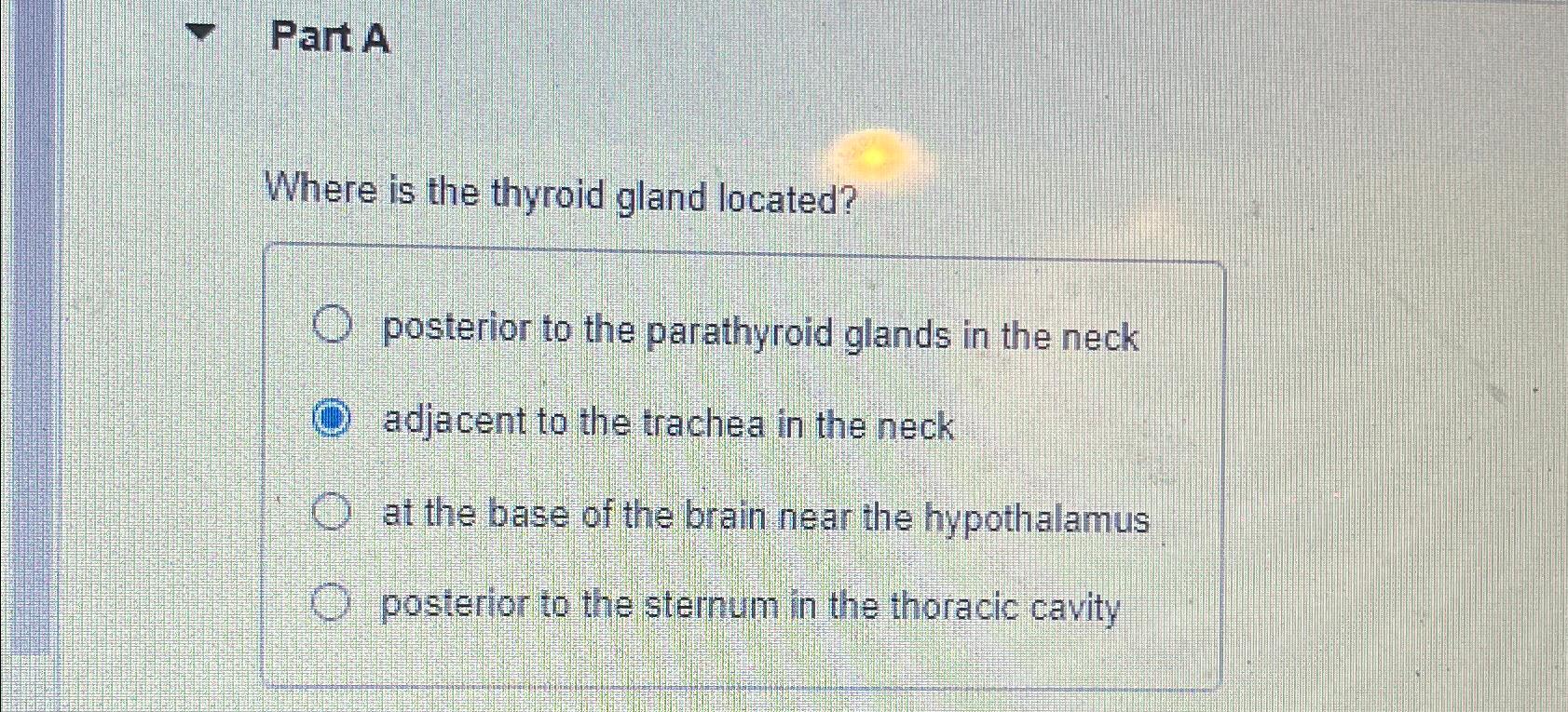 Solved Part AWhere is the thyroid gland located?posterior to | Chegg.com