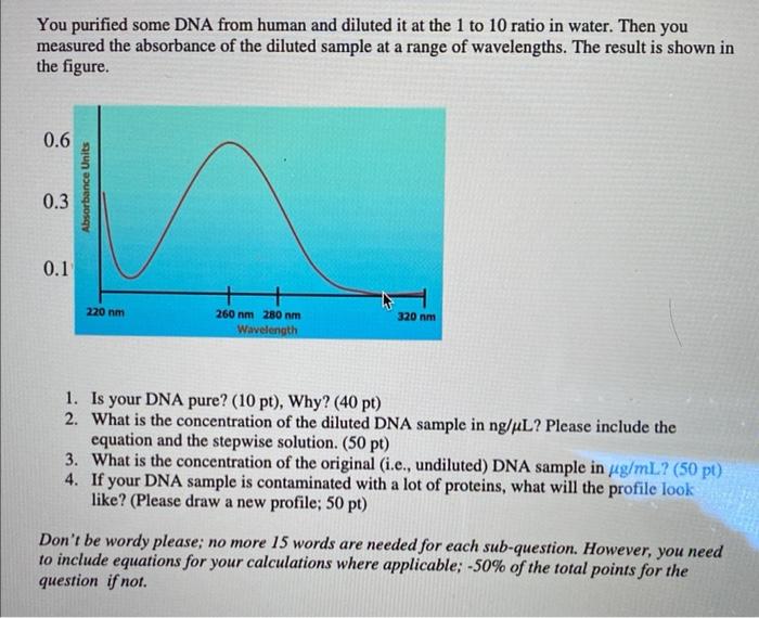 Solved You purified some DNA from human and diluted it at | Chegg.com