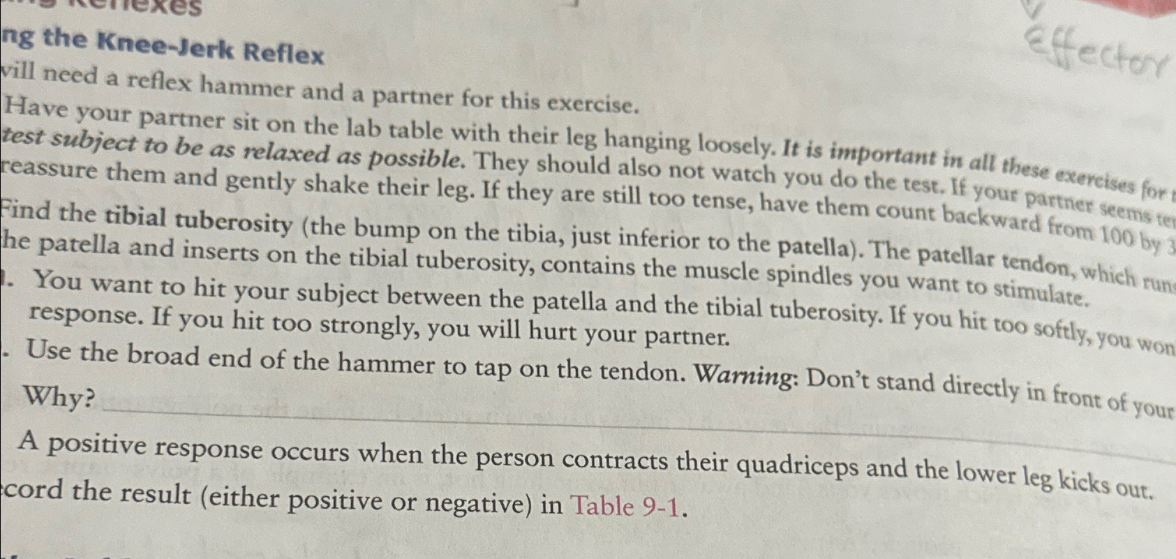 Solved ing the Knee-Jerk Reflexvill need a reflex hammer and | Chegg.com