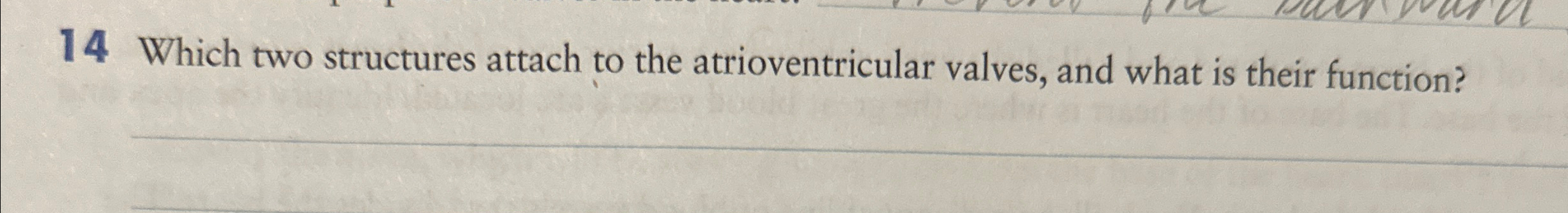 Solved 14 ﻿Which two structures attach to the | Chegg.com