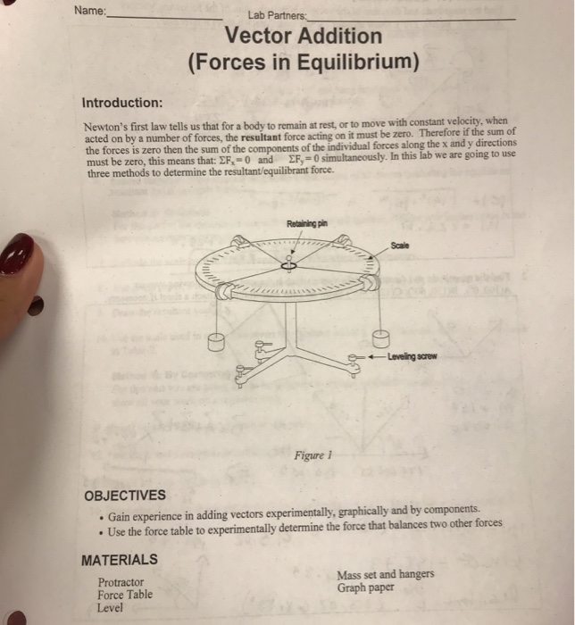 Vector Addition (Forces in Equilibrium) ANALYSIS 1. | Chegg.com