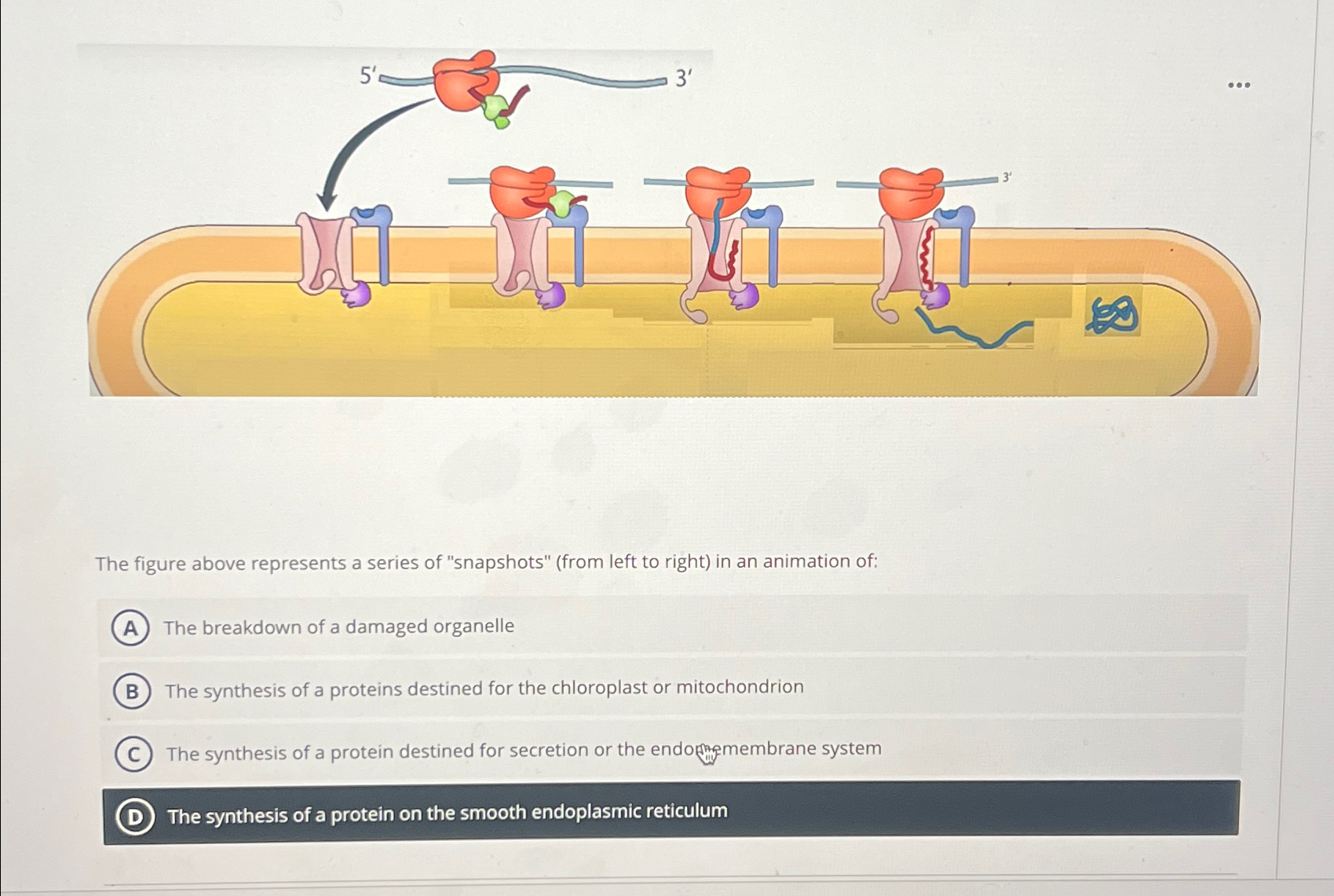 Solved The figure above represents a series of "snapshots" | Chegg.com