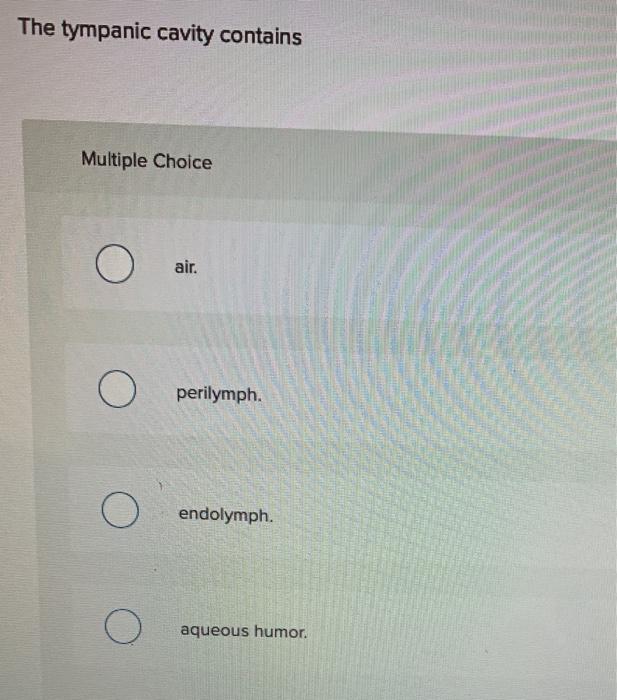 Solved The tympanic cavity contains Multiple Choice O air. | Chegg.com
