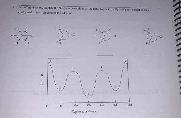 Solved 1. Rank the following cyclic alkanes from most stable | Chegg.com
