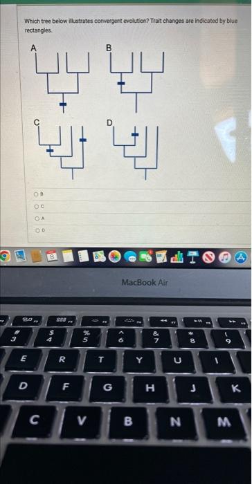 Solved Which tree below illustrates convergent evolution? | Chegg.com