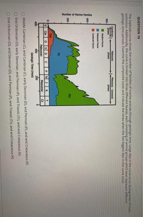 Solved QUESTION 19 The Sepkoski curve shows the number of | Chegg.com